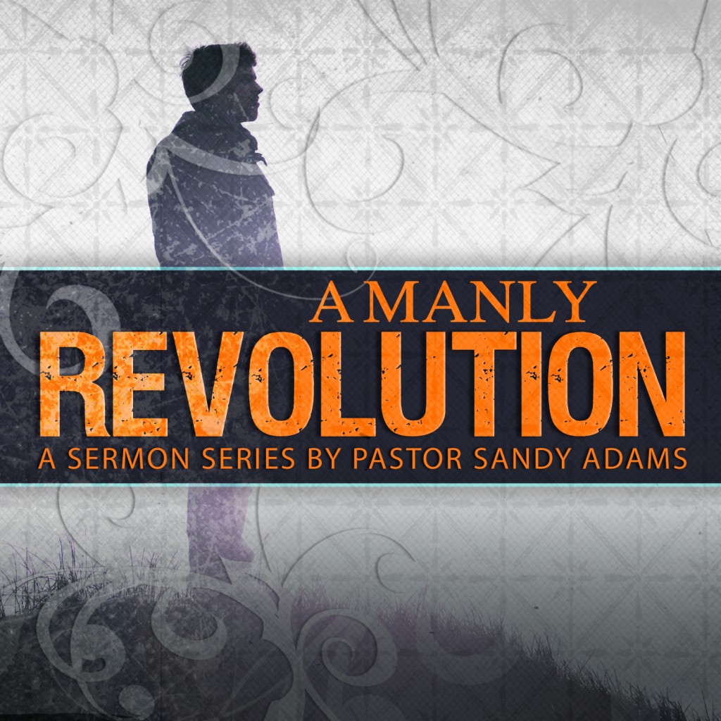 A Manly Revolution - Sandy Adams