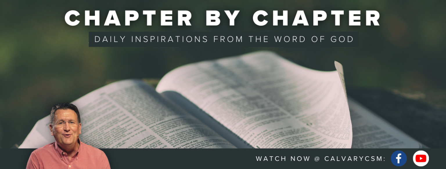 Chapter by Chapter - Sandy Adams